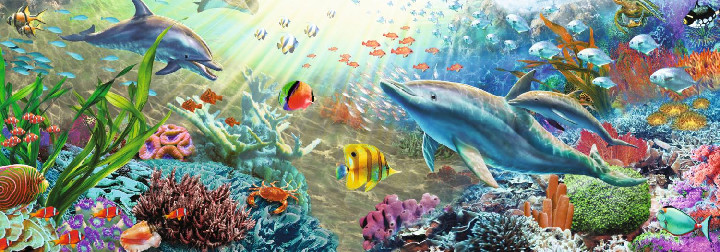 Puzzle JUMBO: Puzzle de 1000 piezas water paradise ( Ref: 0000018519 ...